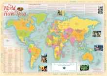 Wall Map | World Wall Map | Oxford Cartographers